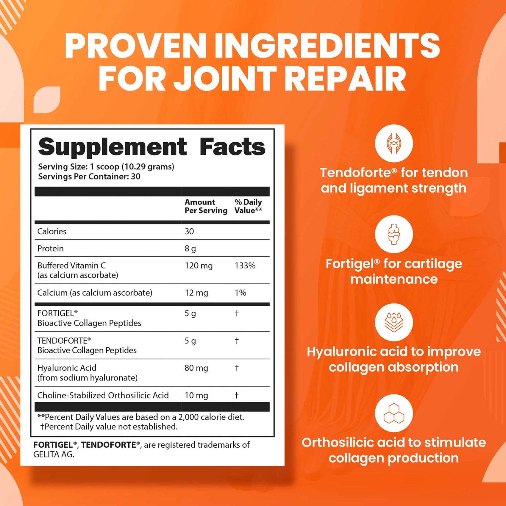 COLLAGEN SYNTHESIS - Collagen Peptides for Tendon, Ligament, & Cartila